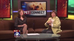 Sherry Margolis - FOX 2 Detroit - Page 3 - TvNewsCaps